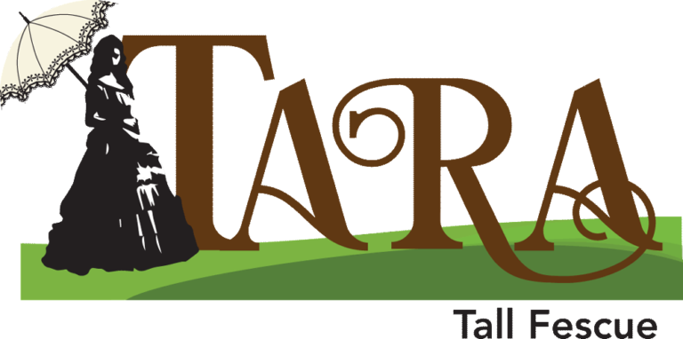 Tall Fescue Varieties - Cascade International Seed Co