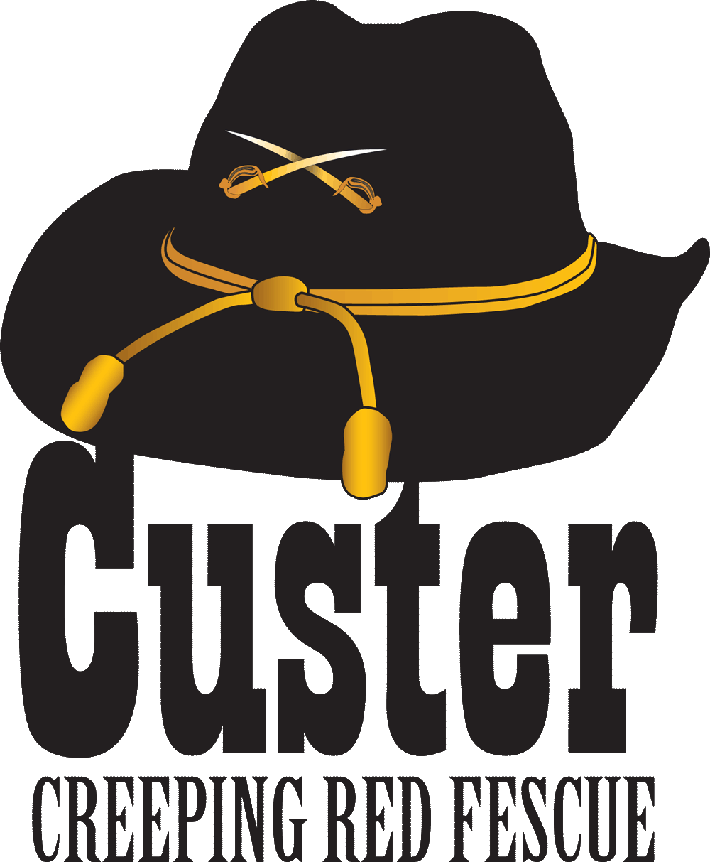 Fine Fescue Varieties - Cascade International Seed Co